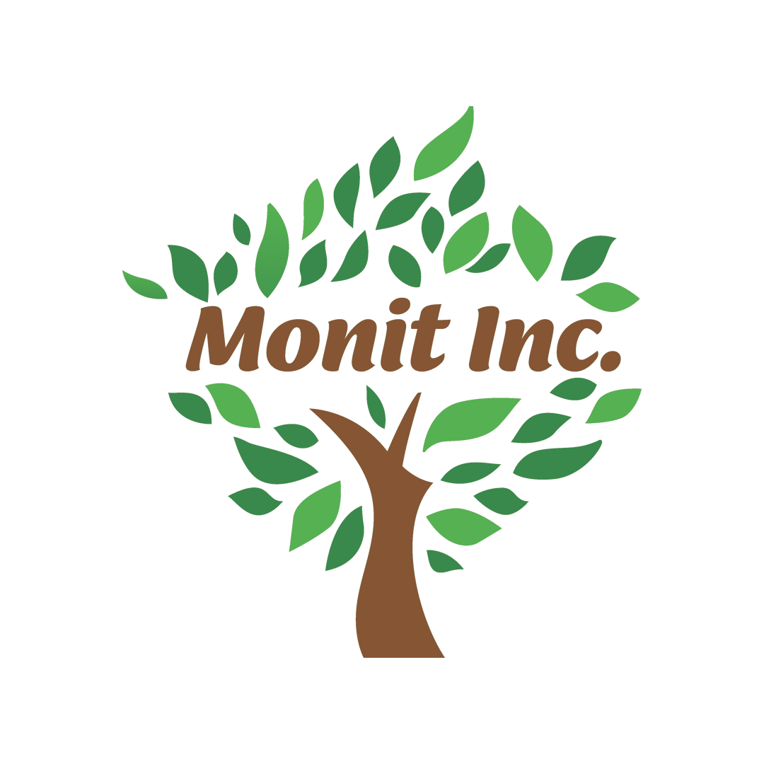 About Us – Monit Inc